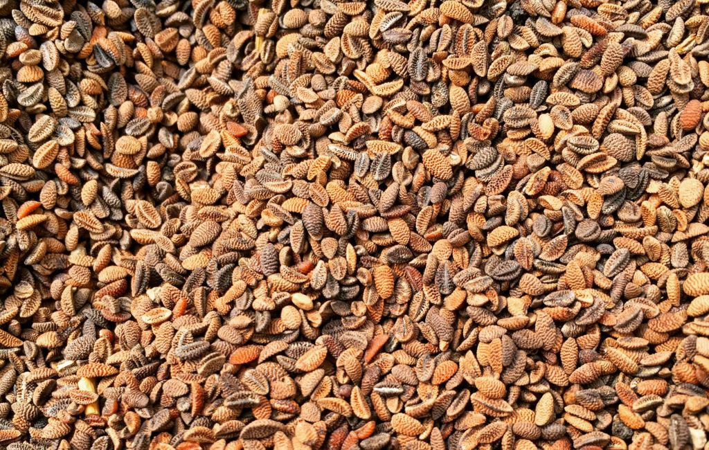 Soybean Hull Pellets 50# – Concentrates, Inc.