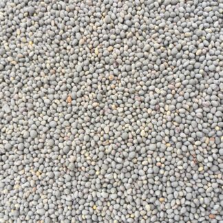 Cover Crops – Concentrates, Inc.