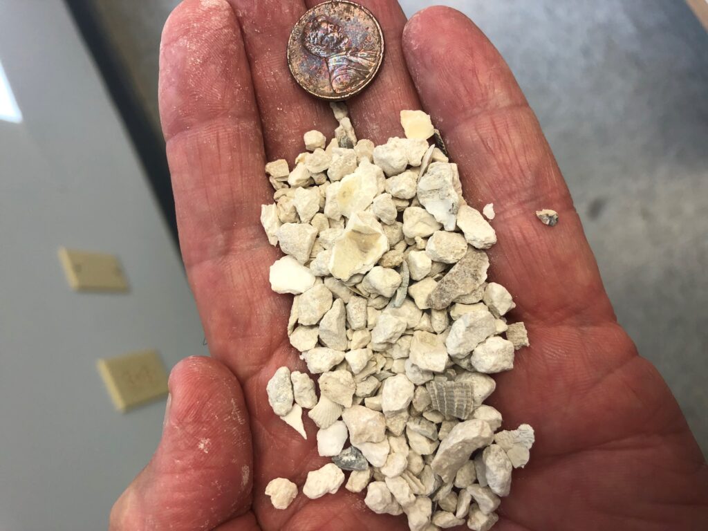 Coastal Oyster Shell (Flour/Flakes) – Concentrates, Inc.